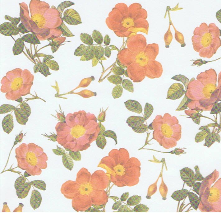 Vellum A4, blomster, roser, hyben